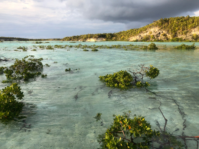 Gallery – Choini Cay